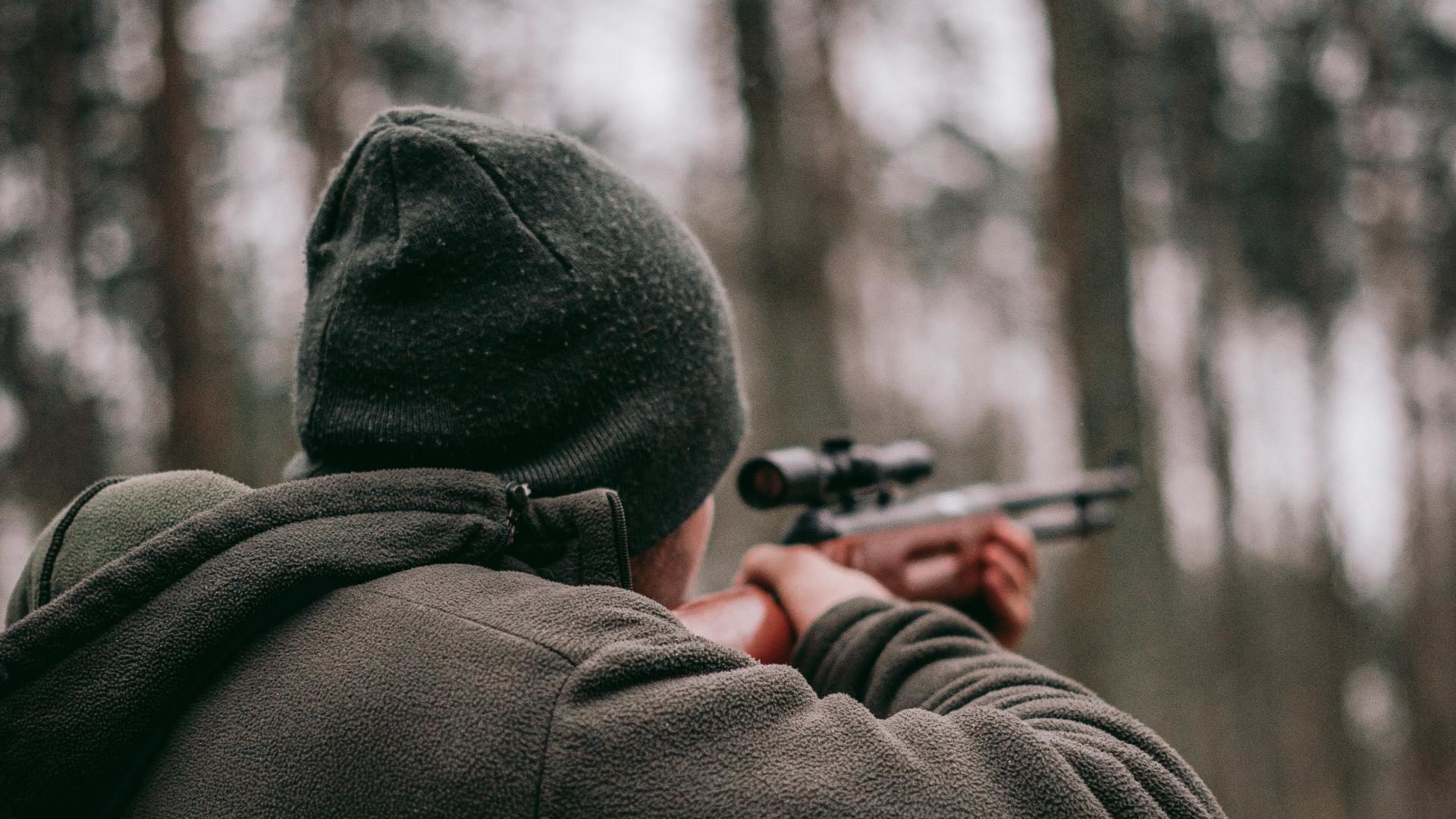 Chasse - Commune de Valzin en Petite Montagne